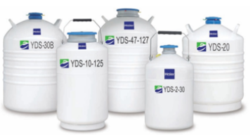 Bình đựng nitơ lỏng bảo quản mẫu lạnh 50 lít Haier YDS-50B-80